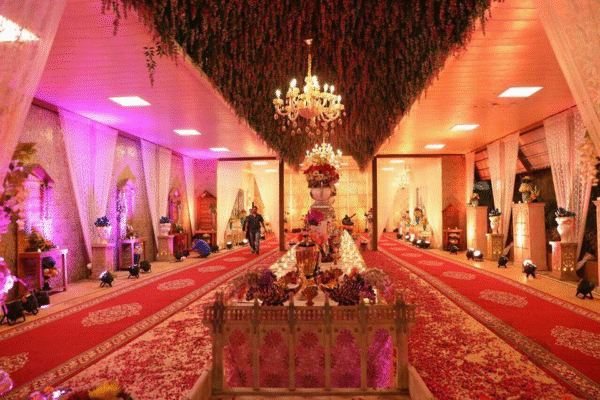 Home - Jaipur Bagh